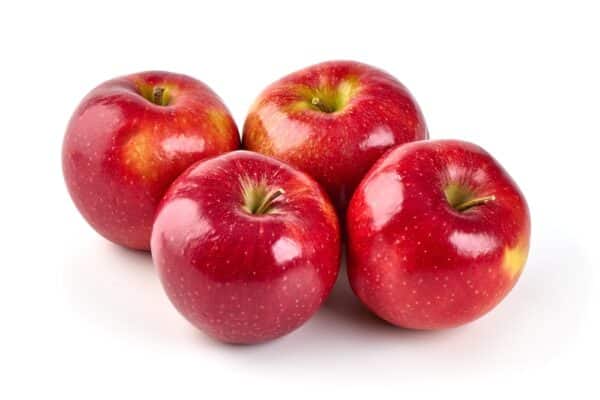 Les différentes variétés de pommes selon les usages