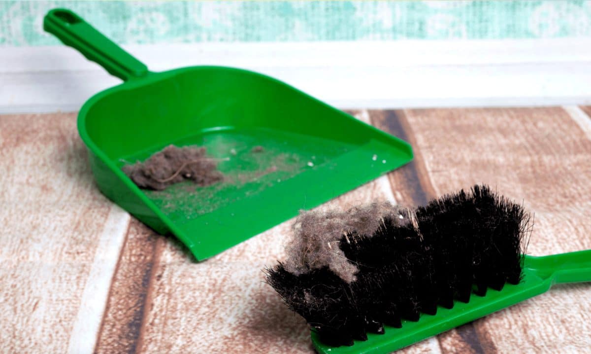 5 Astuces trop méconnues pour enfin limiter la poussière dans votre maison